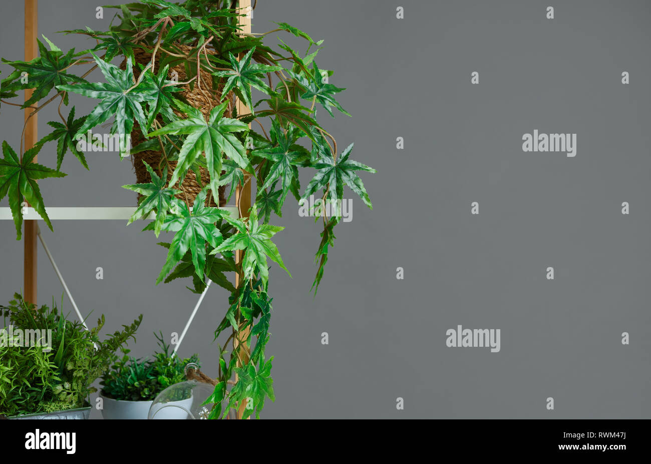 Home decorative greenery hi-res stock photography and images - Alamy
