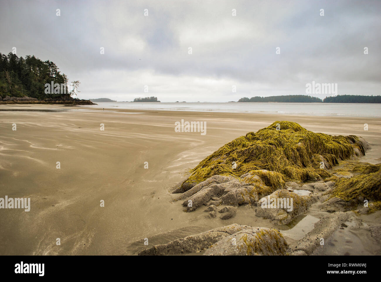 Tofino beach hi-res stock photography and images - Alamy