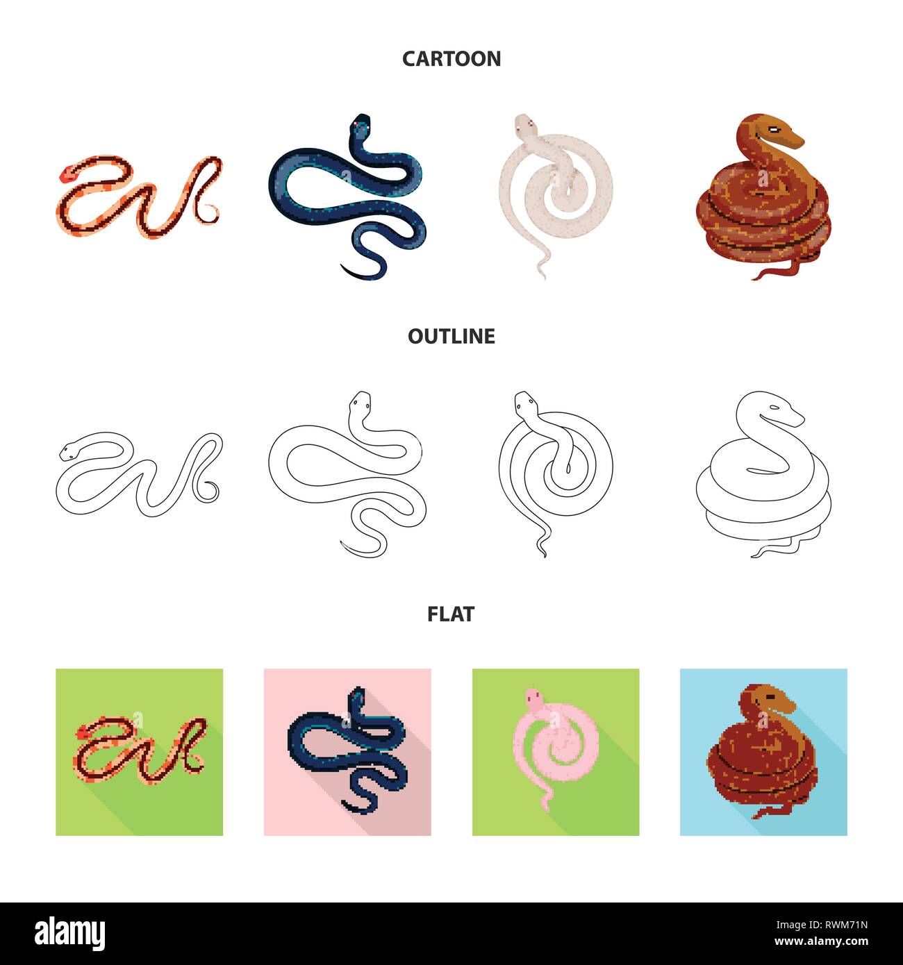 snake,amphibian,viper,tail,anaconda,white,python,spiral,animal,brazil ...