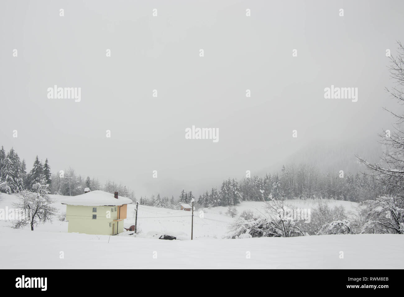 Smolyan, Bulgaria, Rhodope Mountains - 01/28/2019 Winter forest ...