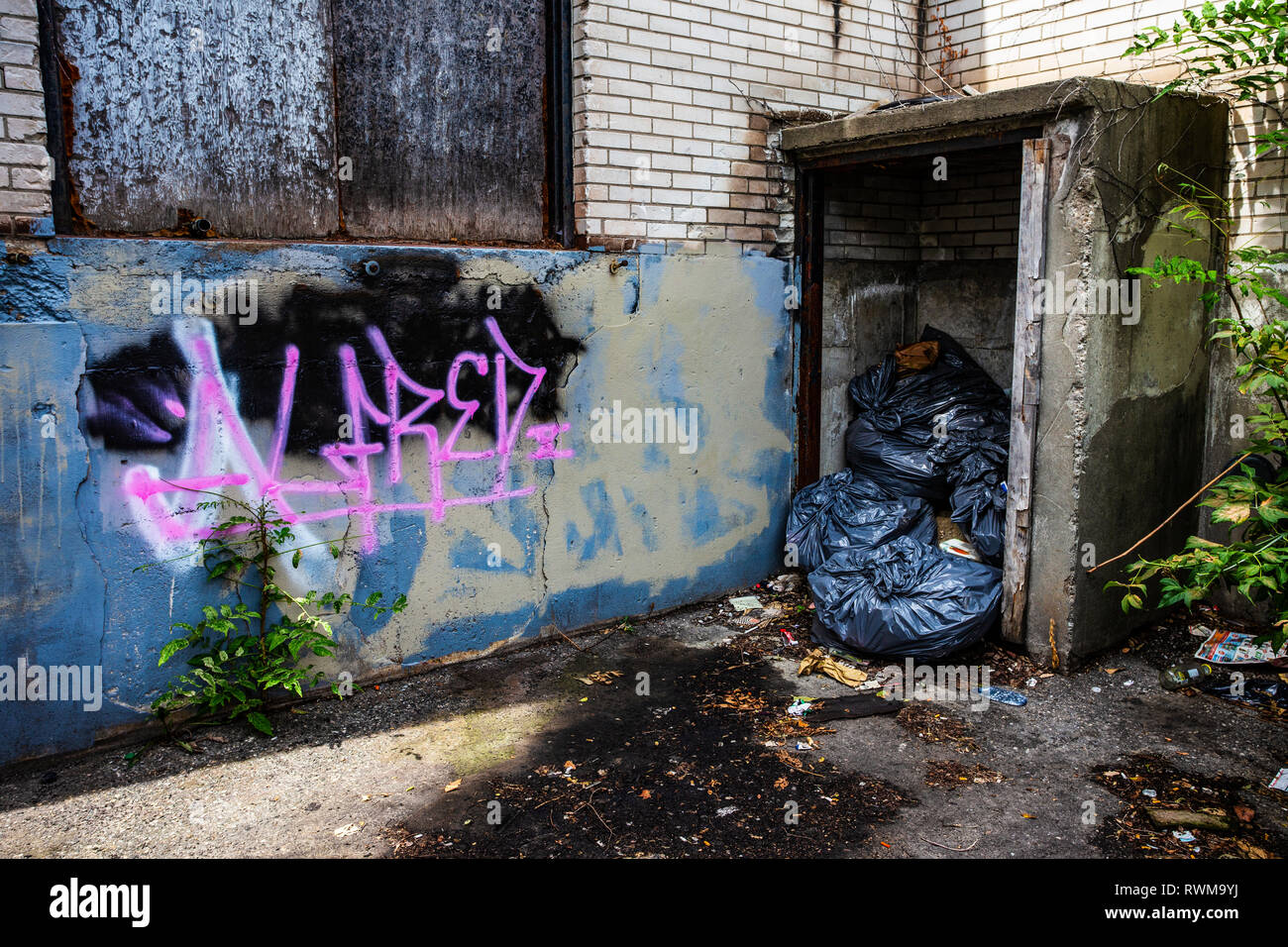 Garbage in an alley with graffiti on wall; Toronto, Ontario, Canada ...