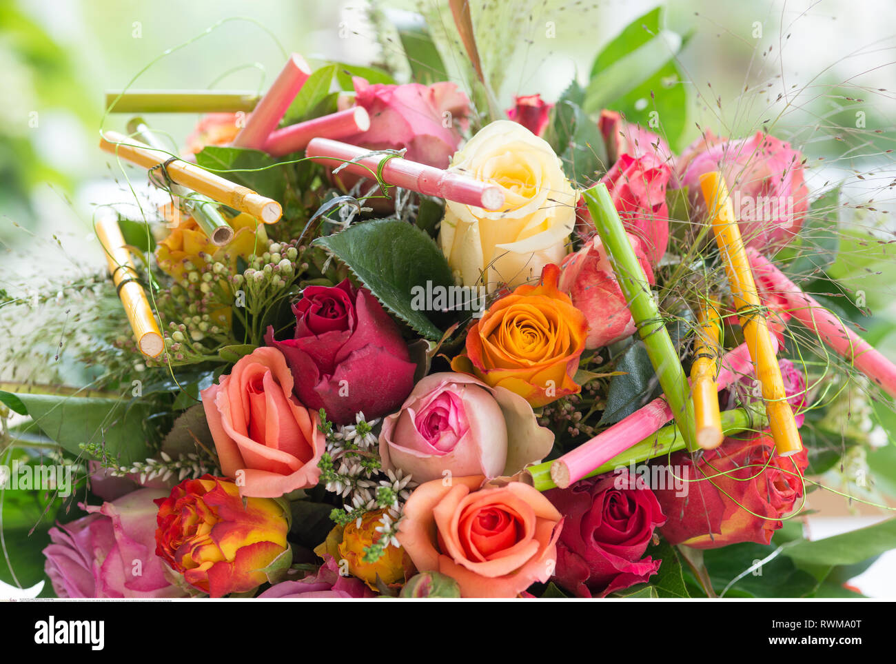 Bouquet of coloured roses hi-res stock photography and images - Alamy