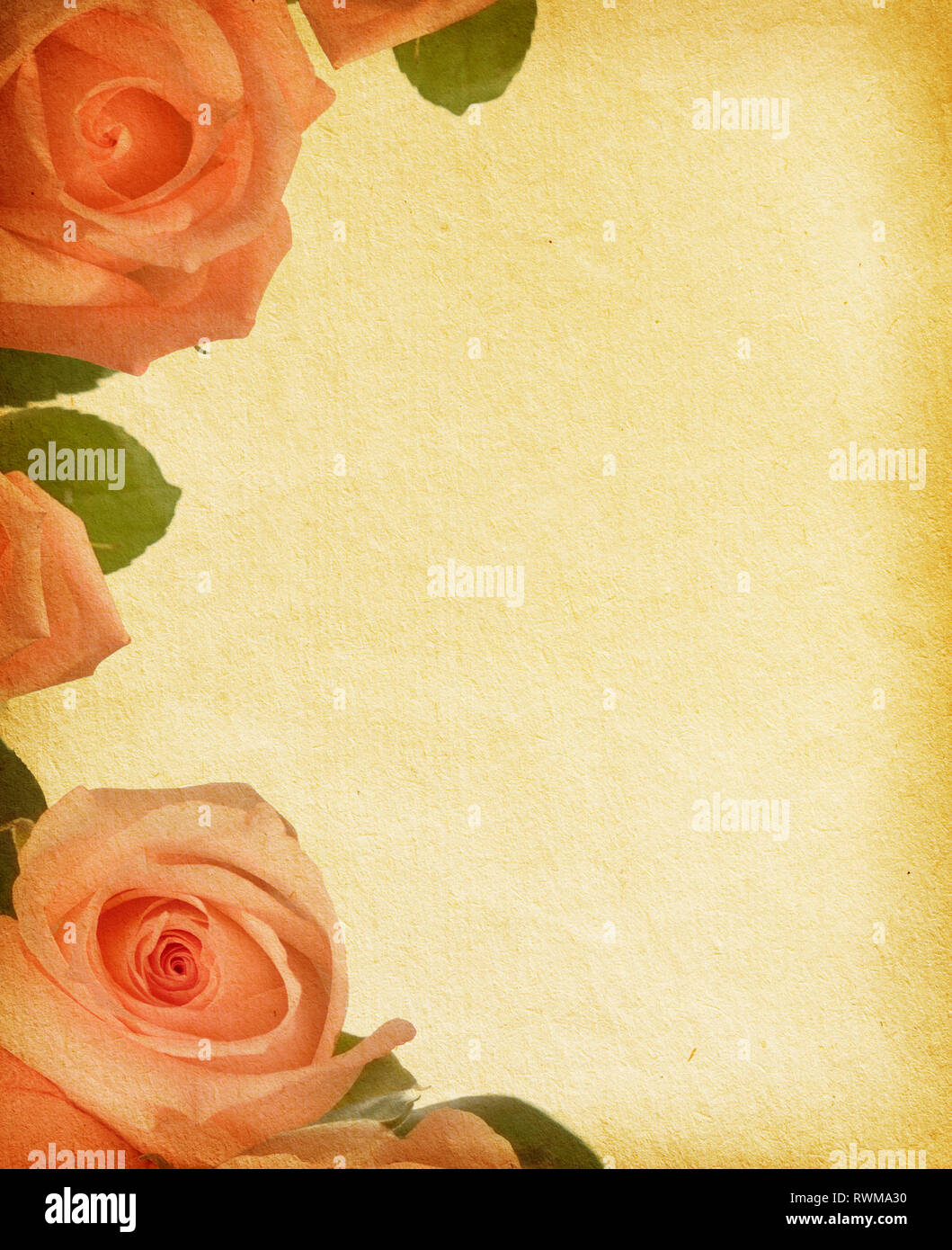 old paper textures with roses Stock Photo - Alamy