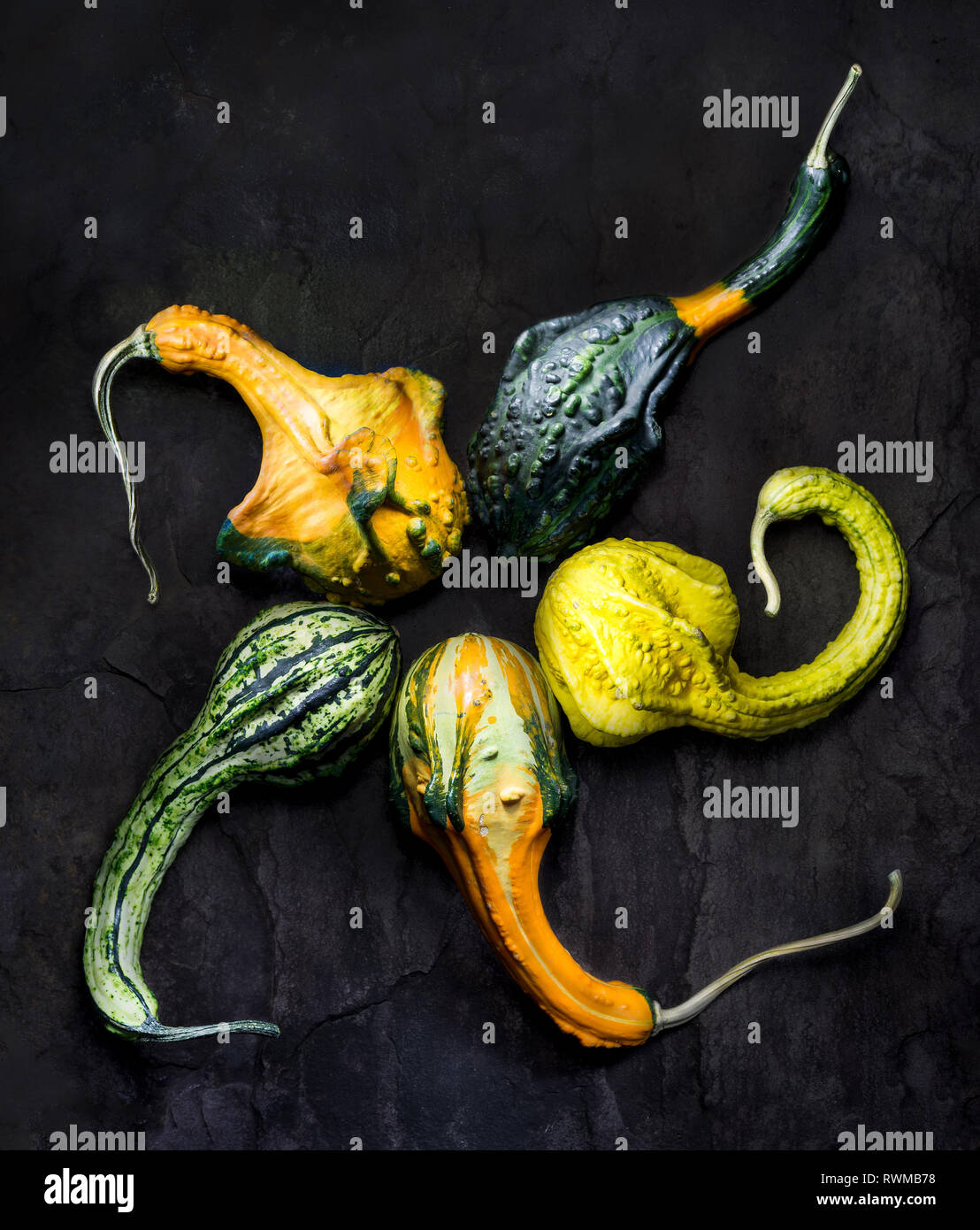 Various gourds hi-res stock photography and images - Alamy
