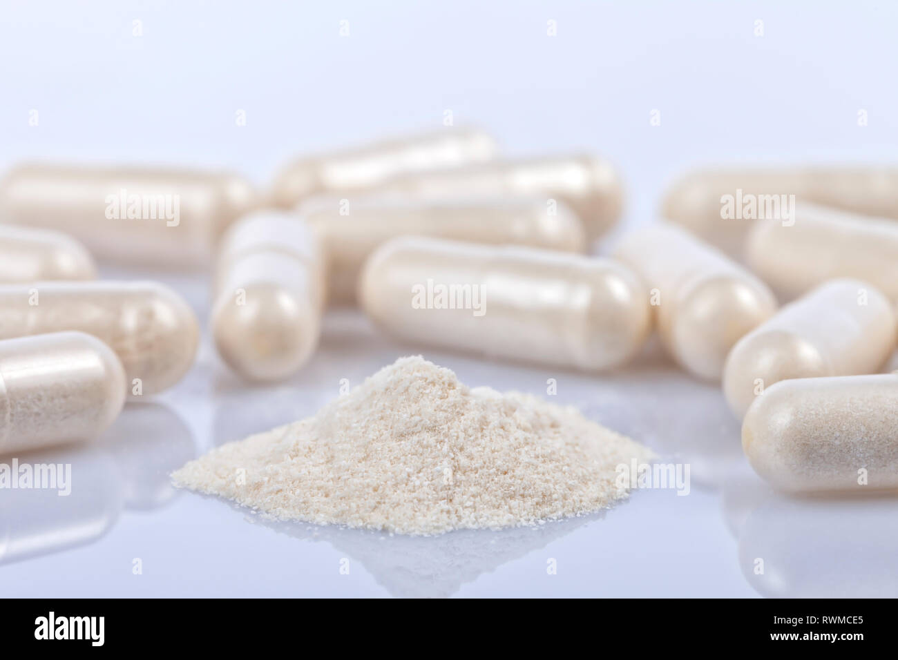 Bacillus subtilis bacteria hi-res stock photography and images - Alamy