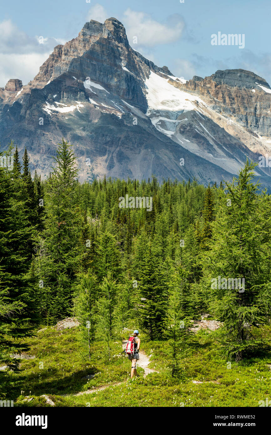 Female hiker on pathway in a mountain meadow with mountain, blue sky ...