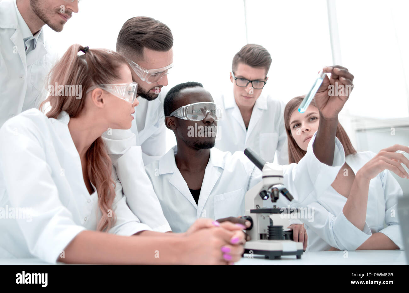 Biology experimentation hi-res stock photography and images - Alamy