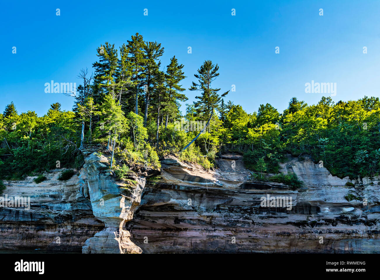 Formation forest hi-res stock photography and images - Alamy