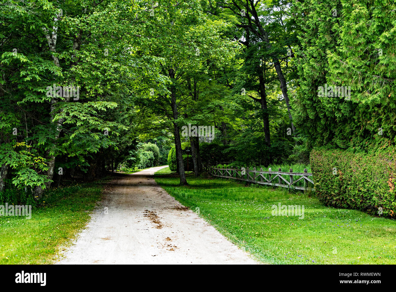 Dense tree canopy hi-res stock photography and images - Alamy