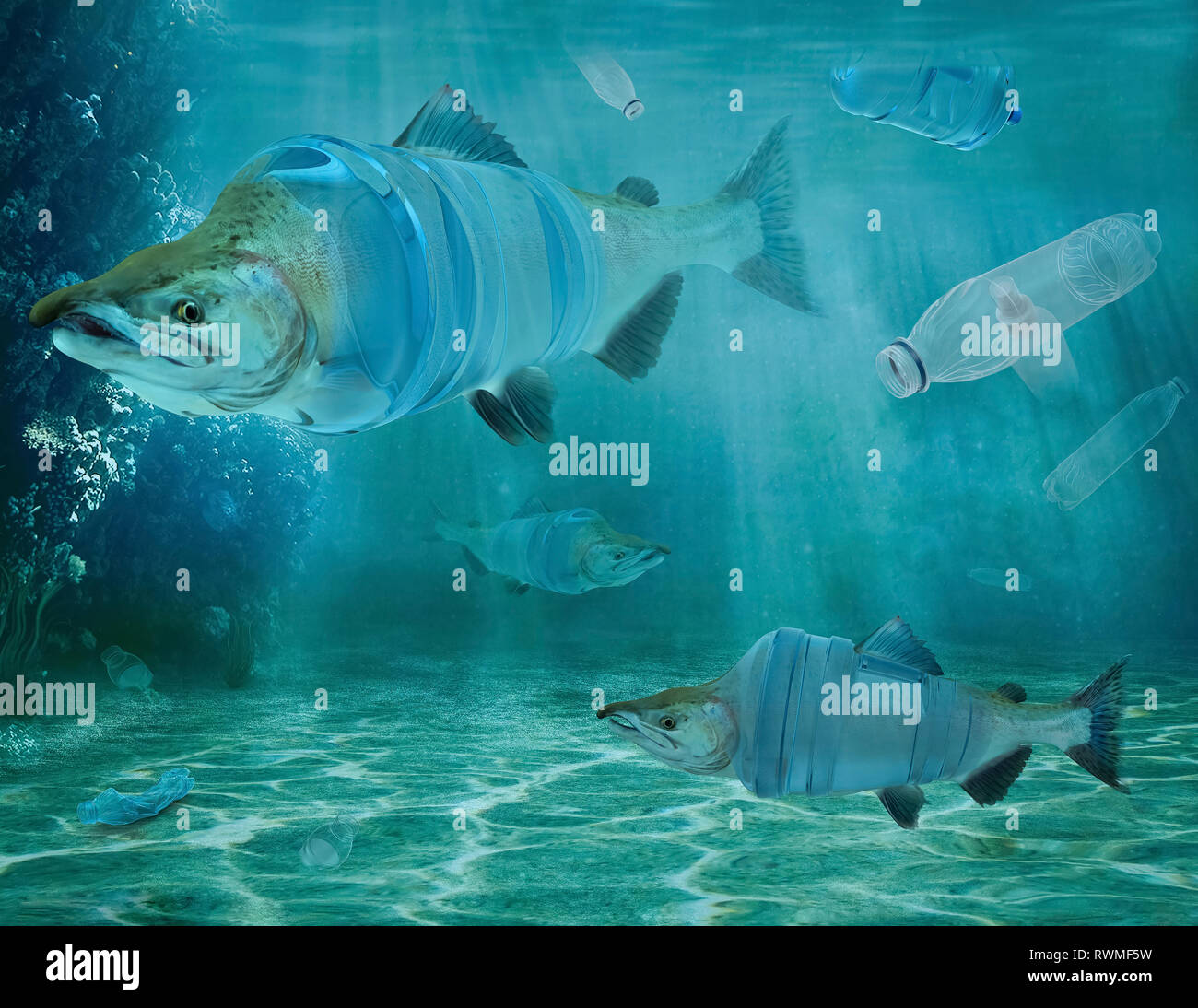 Plastic Pollution Fish High Resolution Stock Photography and Images - Alamy