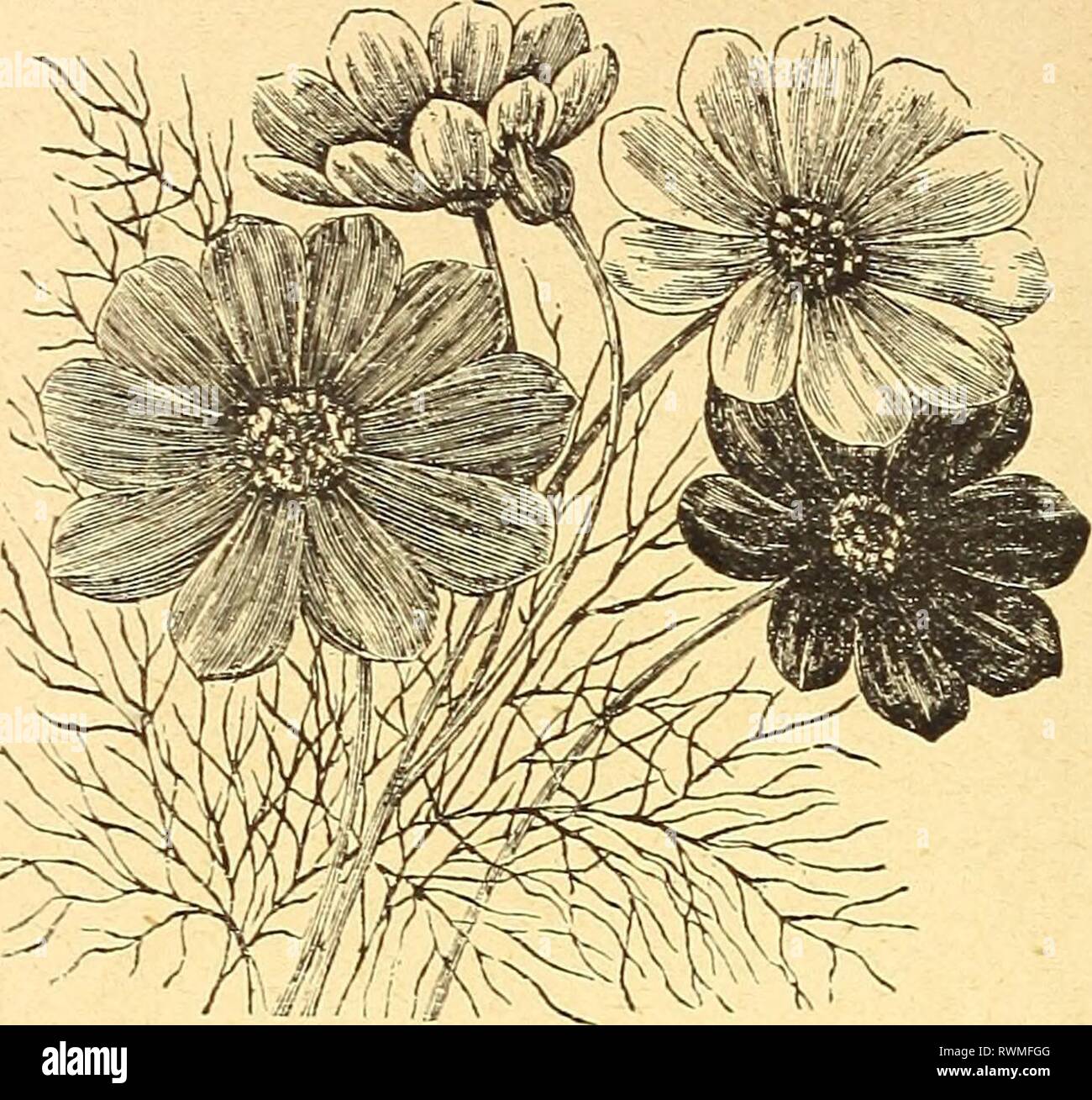 Cosmos first edition book hi-res stock photography and images - Alamy