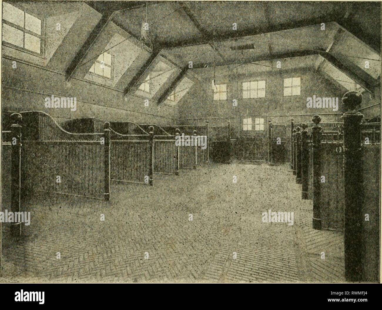 Stable ventilation horse hi-res stock photography and images - Alamy