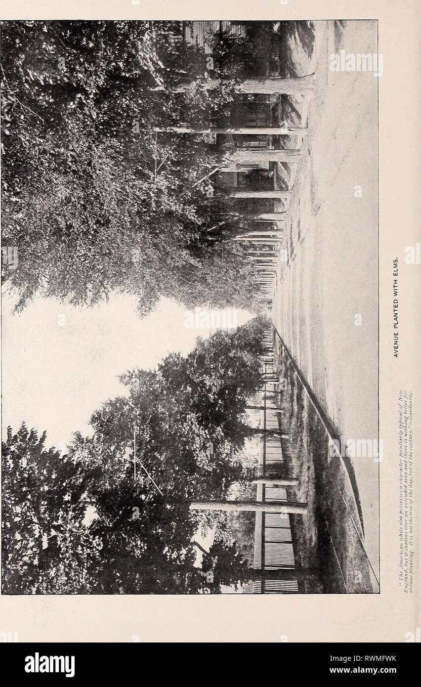 Ellwanger & Barry Mount Stock Photo - Alamy