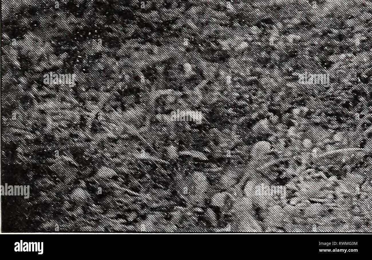 Ellwanger & Barry Mount Stock Photo - Alamy