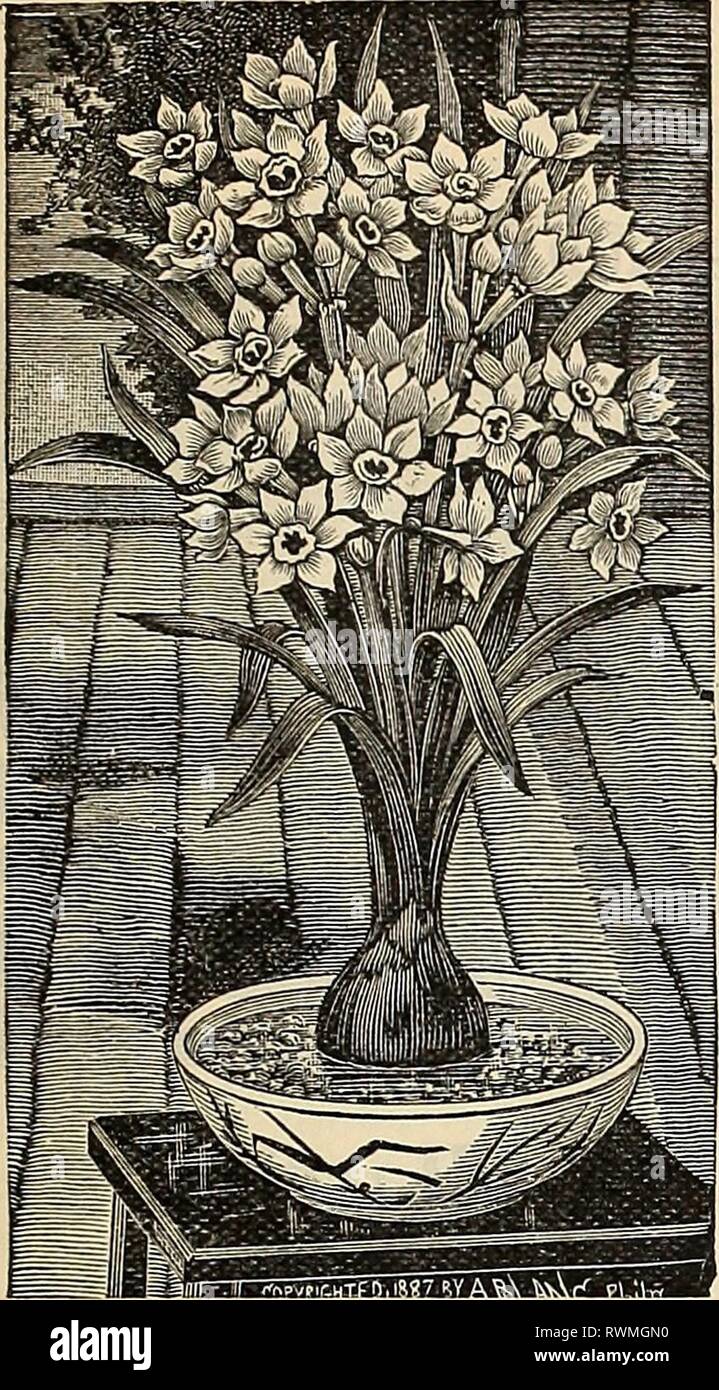 Elliotts group hi-res stock photography and images - Alamy