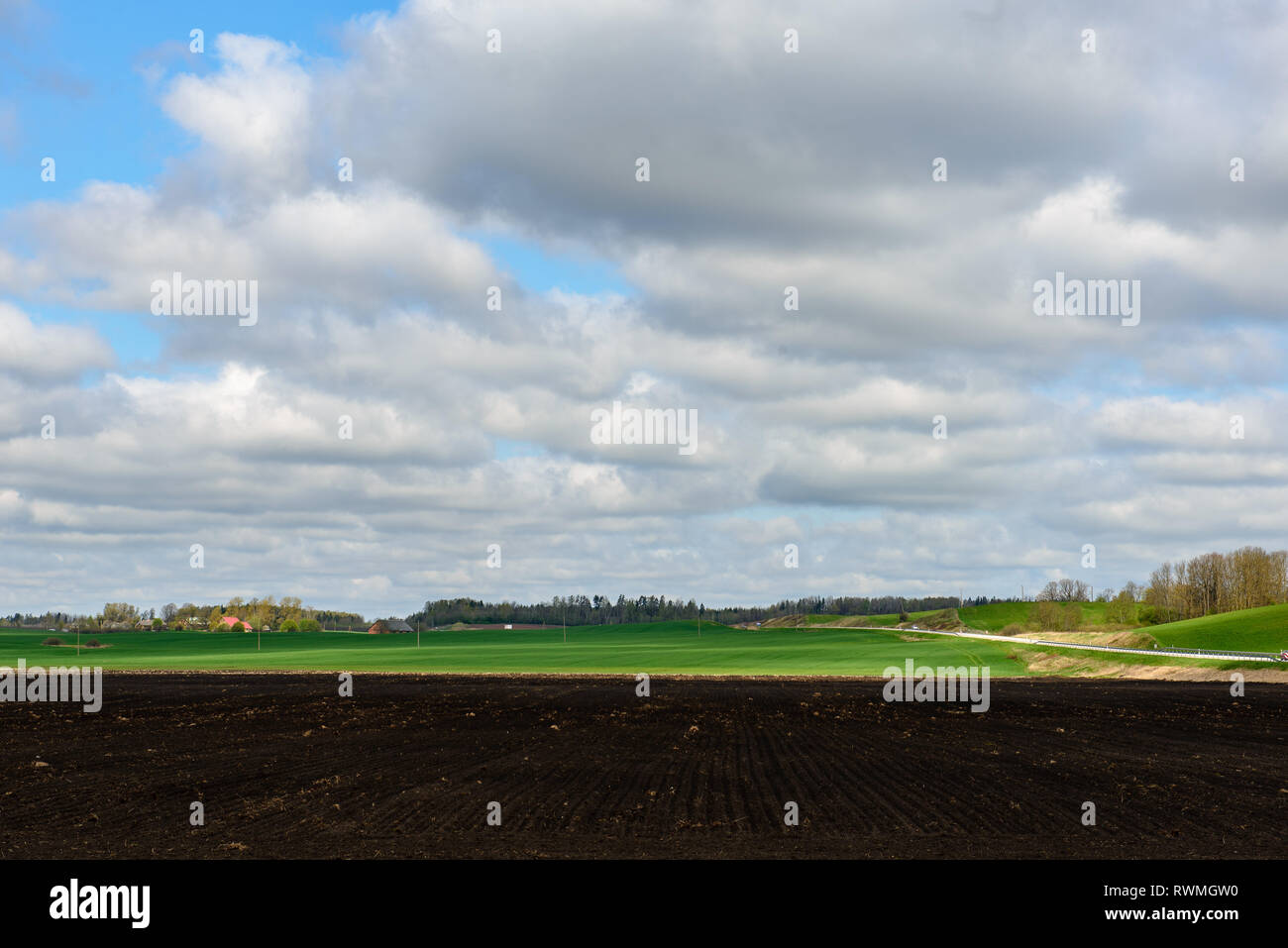 green cultivated fields in countryside with straight lines. agriculture ...