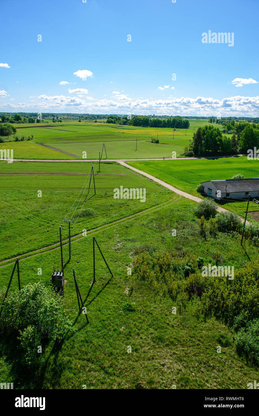 green cultivated fields in countryside with straight lines. agriculture ...