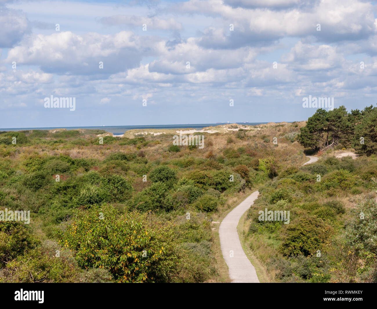 Netherlands sand dunes, aerial hi-res stock photography and images - Alamy