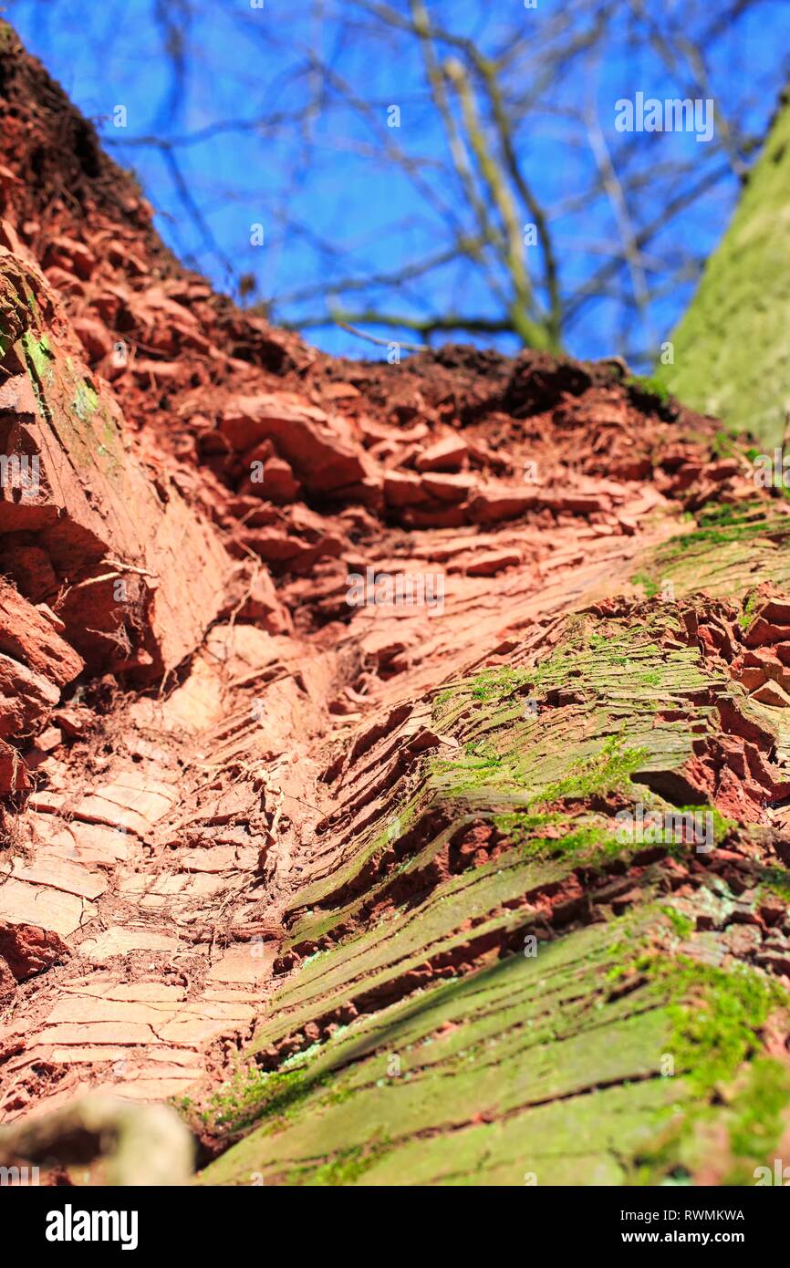 Weathering with you poster hi-res stock photography and images - Alamy