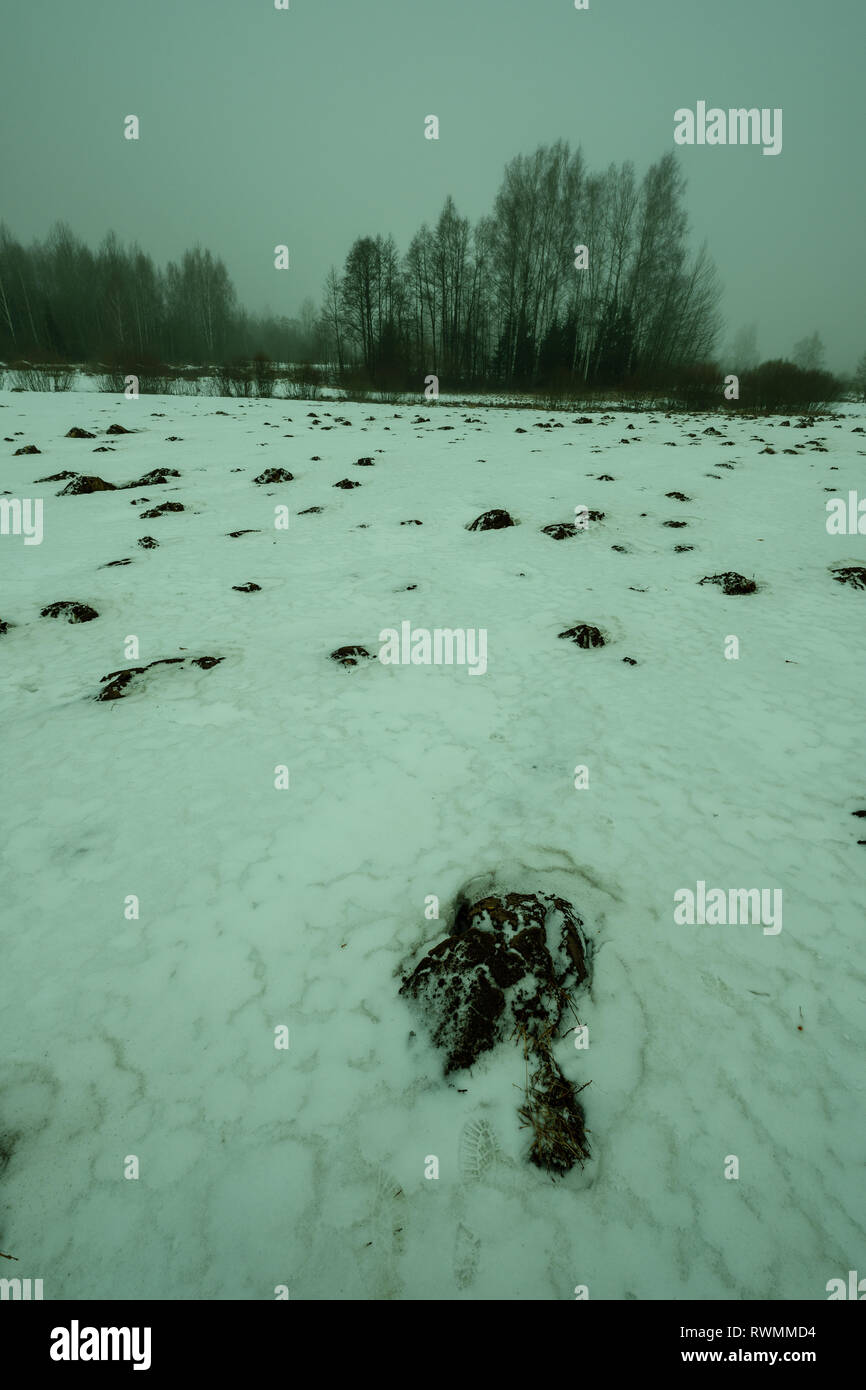 mole camuflage molehill pattern in the field with snow and mist in ...