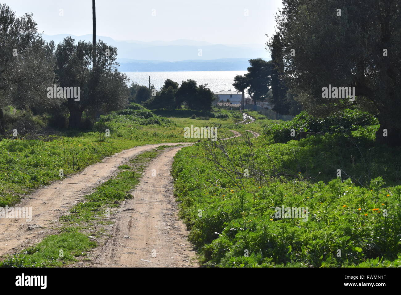 Greek grass hi-res stock photography and images - Alamy