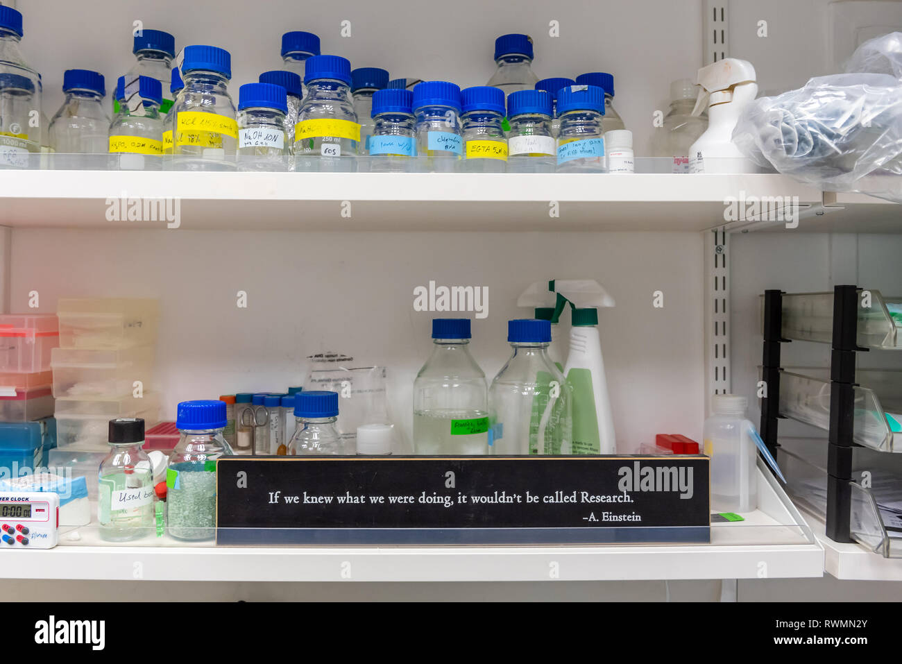 Einstein albert lab hi-res stock photography and images - Alamy