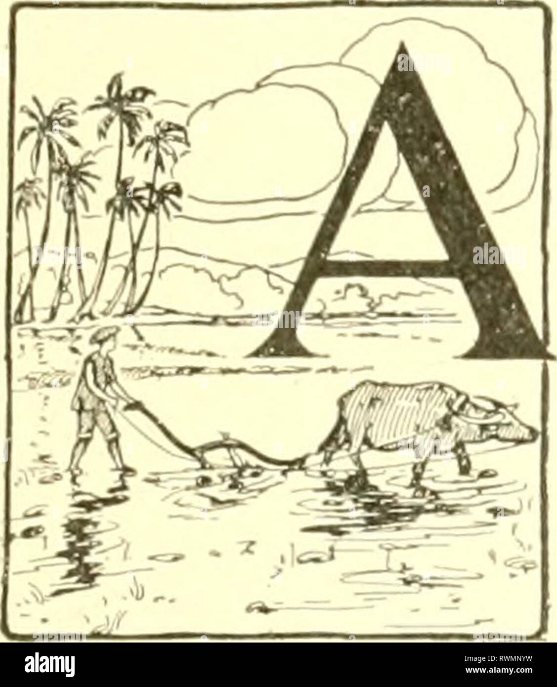 Elements of Philippine agriculture (1908 Stock Photo - Alamy