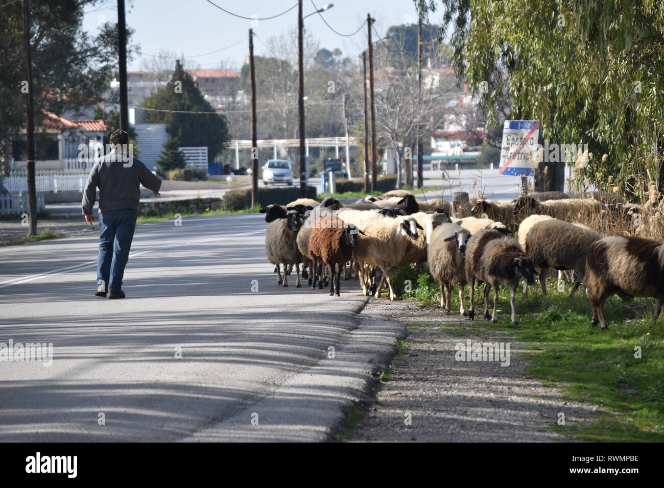 Greek shepherd hi-res stock photography and images - Alamy
