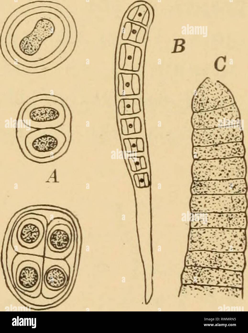 Elementary principles of agriculture; a Stock Photo - Alamy