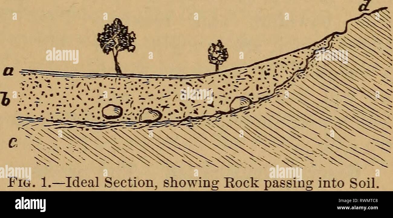Elements of geology a Stock Photo - Alamy