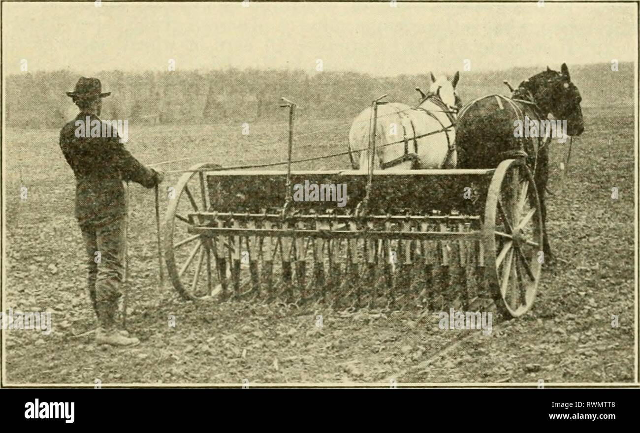 Elements of farm practice (1919 Stock Photo - Alamy