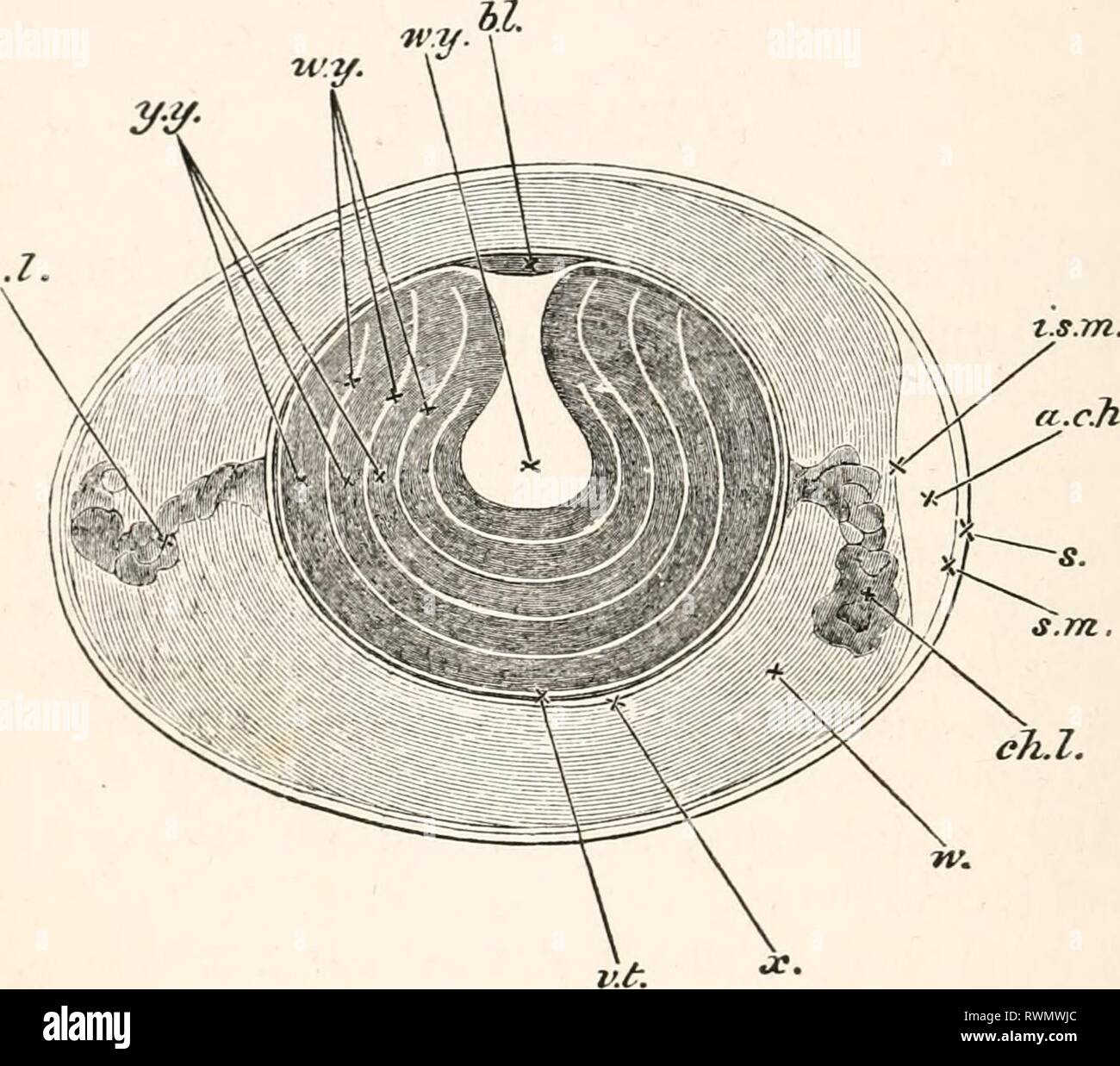 The elements of embryology (1874) The elements of embryology ...