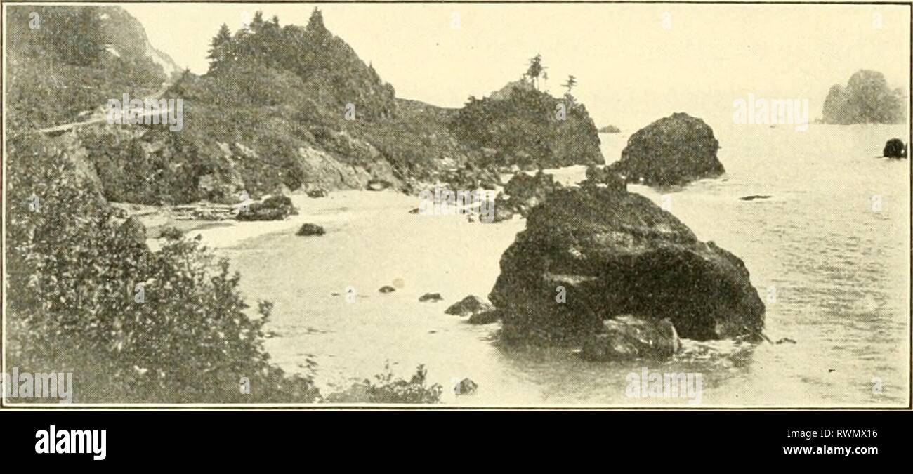 Elements of Philippine agriculture (1908 Stock Photo - Alamy