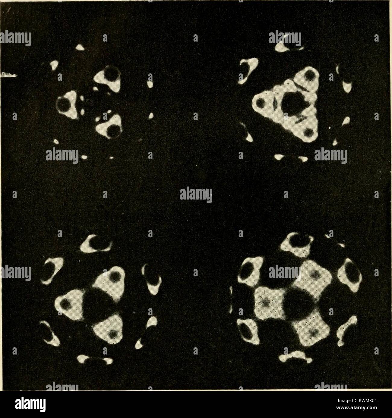 The electron microscope, its development, The electron microscope, its ...