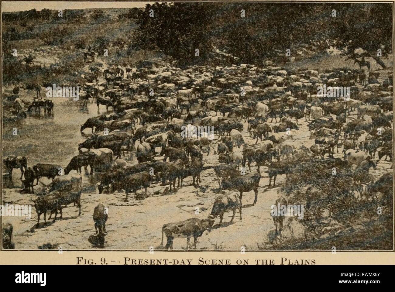 Elements of agriculture, southern and Stock Photo - Alamy