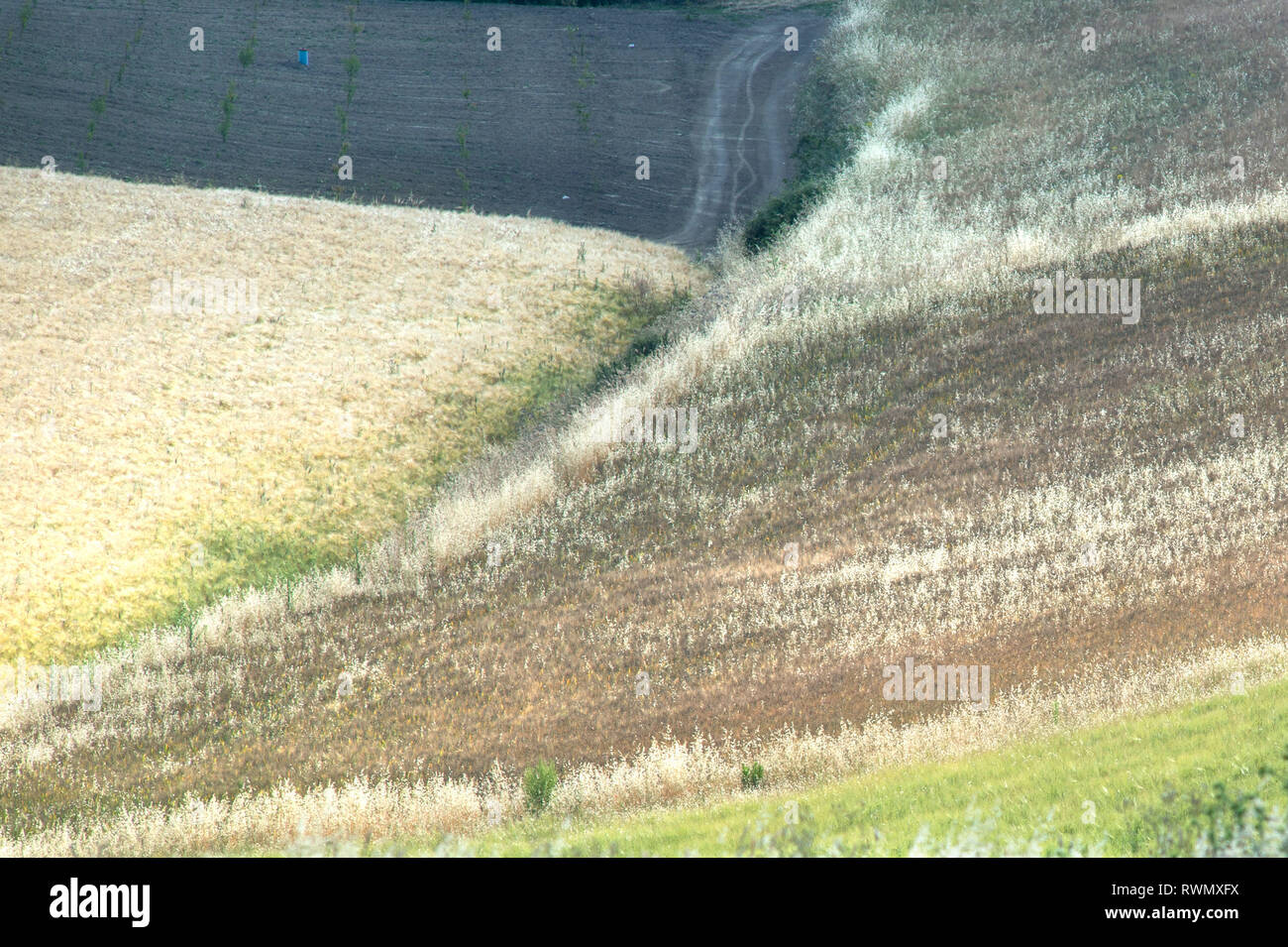 A colorful view of cultivated fields Stock Photo - Alamy