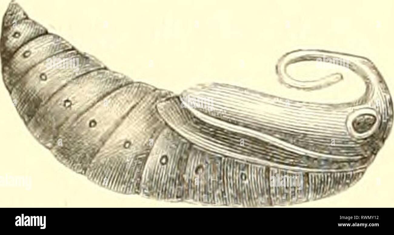 Les irois hi-res stock photography and images - Alamy