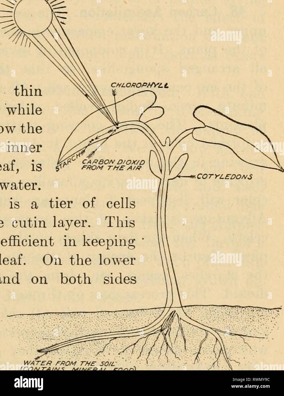 Elementary principles of agriculture Stock Photo - Alamy