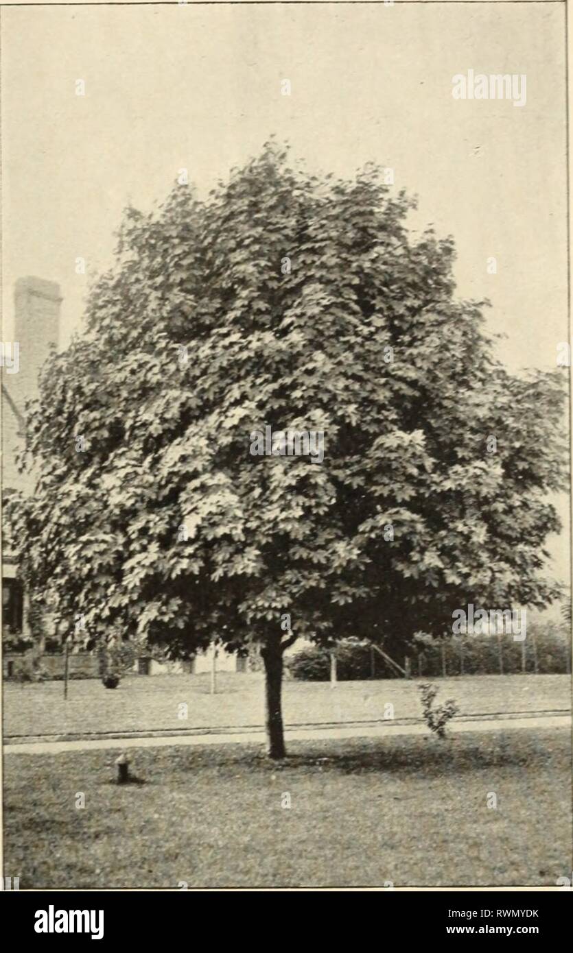 Ellwanger & Barry Mount Stock Photo - Alamy