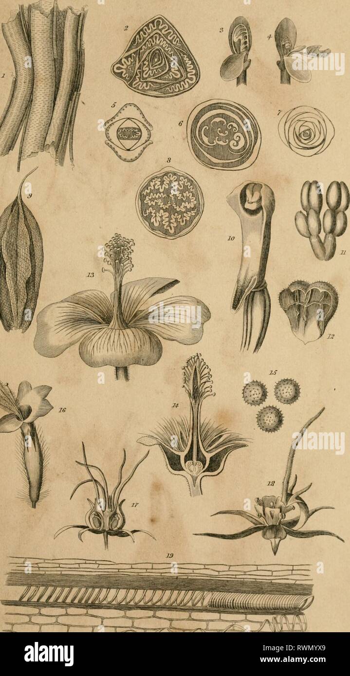 Elements of the philosophy of Stock Photo - Alamy