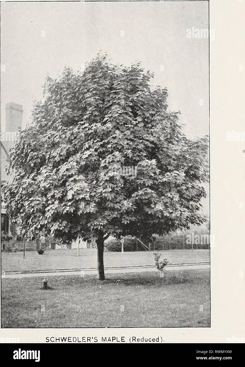 Ellwanger & Barry Mount Stock Photo - Alamy