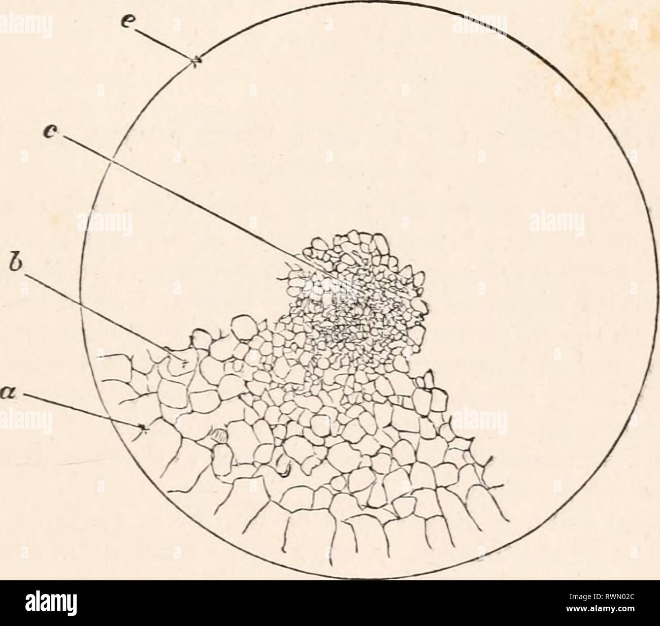 The elements of embryology (1874) The elements of embryology ...