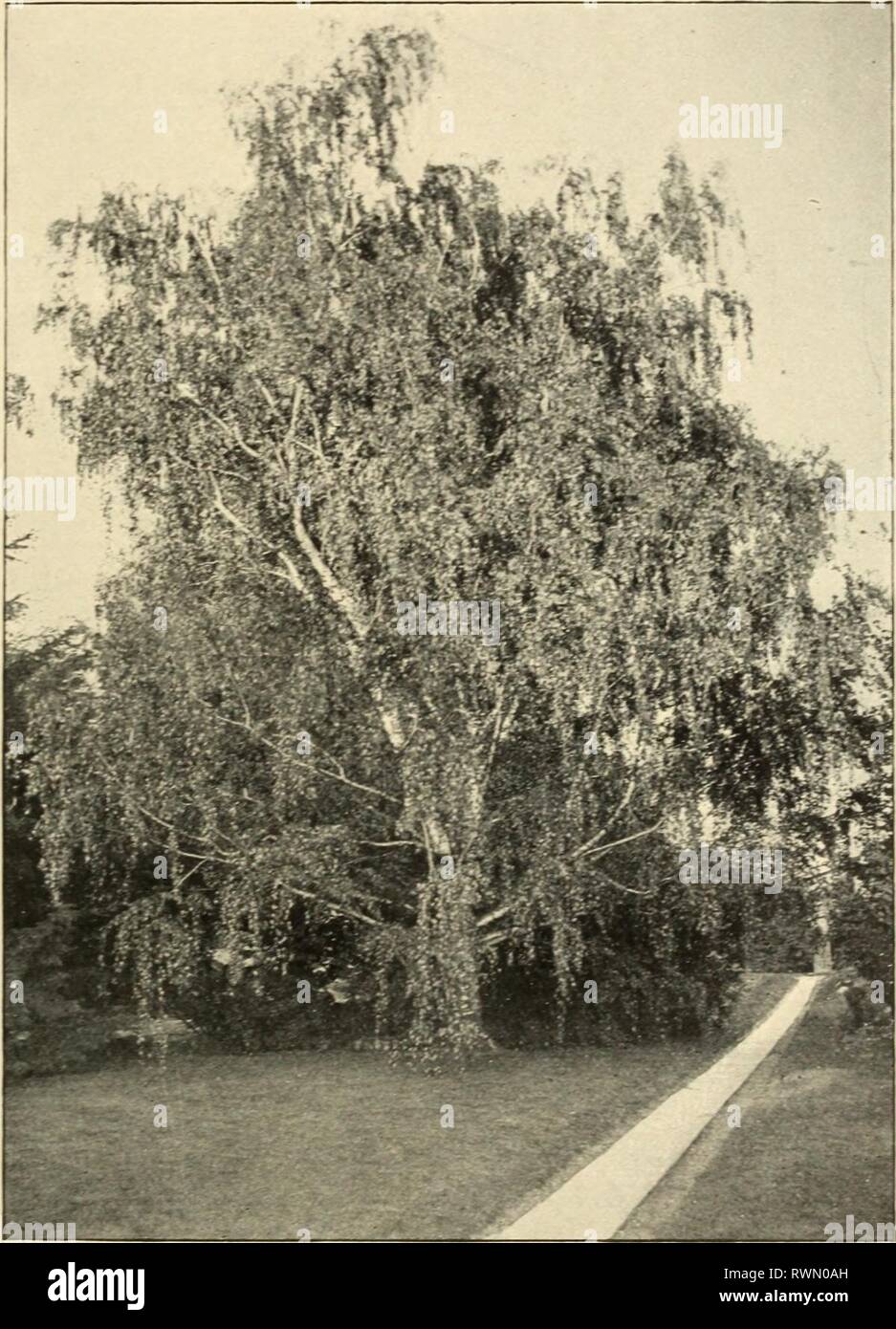 Ellwanger & Barry Mount Stock Photo - Alamy