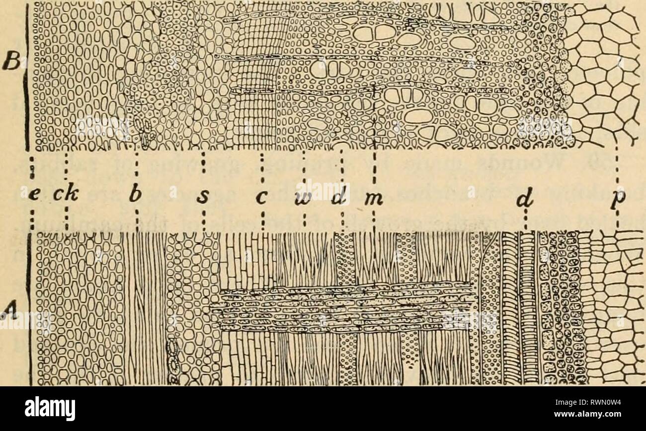 Elementary principles of agriculture Stock Photo - Alamy