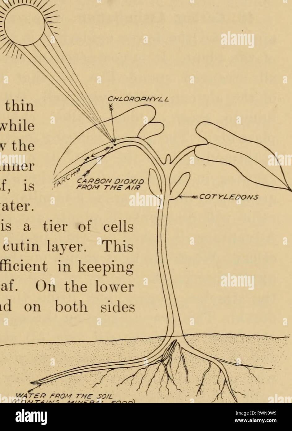 Elementary principles of agriculture; a Stock Photo - Alamy