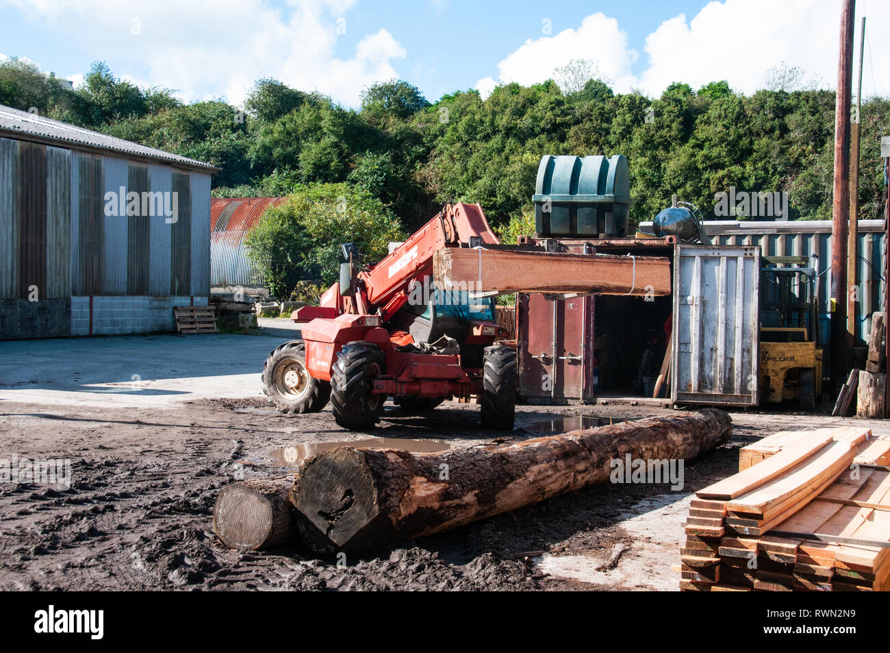 Forklift lifting tree trunk in yard Stock Photo - Alamy