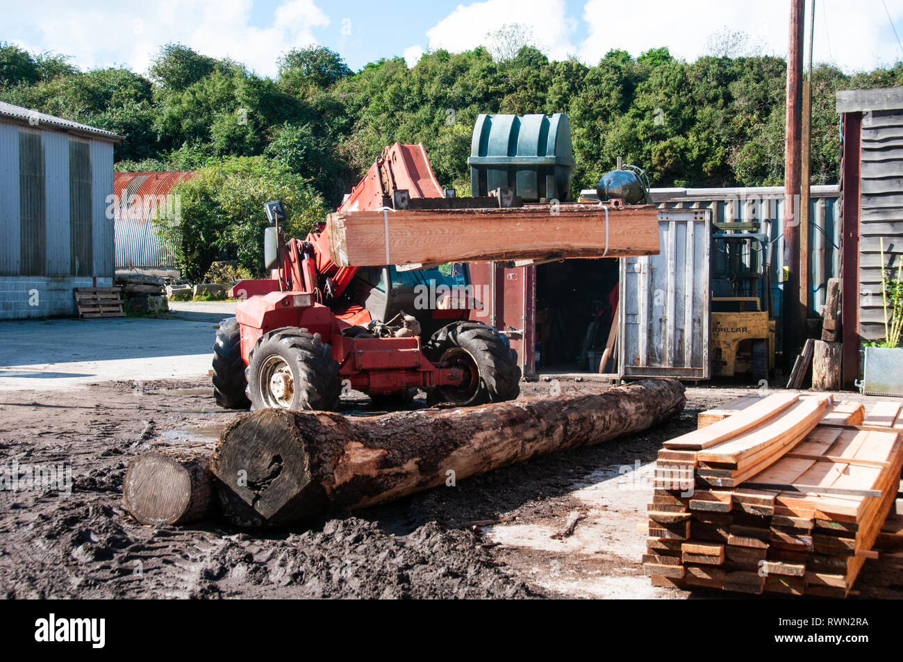 Forklift lifting tree trunk in Sawmill yard, Cornwall Stock Photo - Alamy