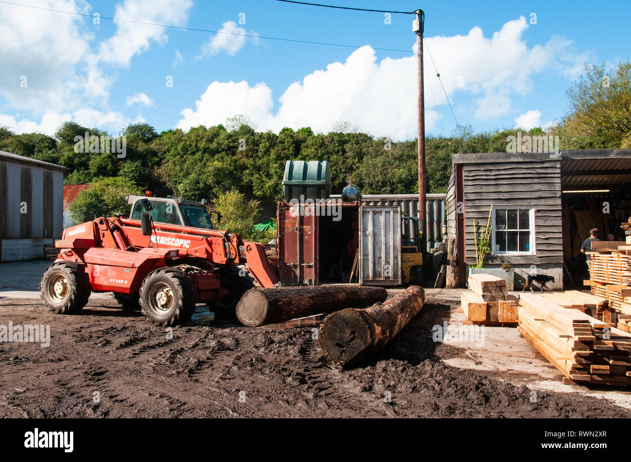 Forklift transporting large tree trunk Stock Photo - Alamy