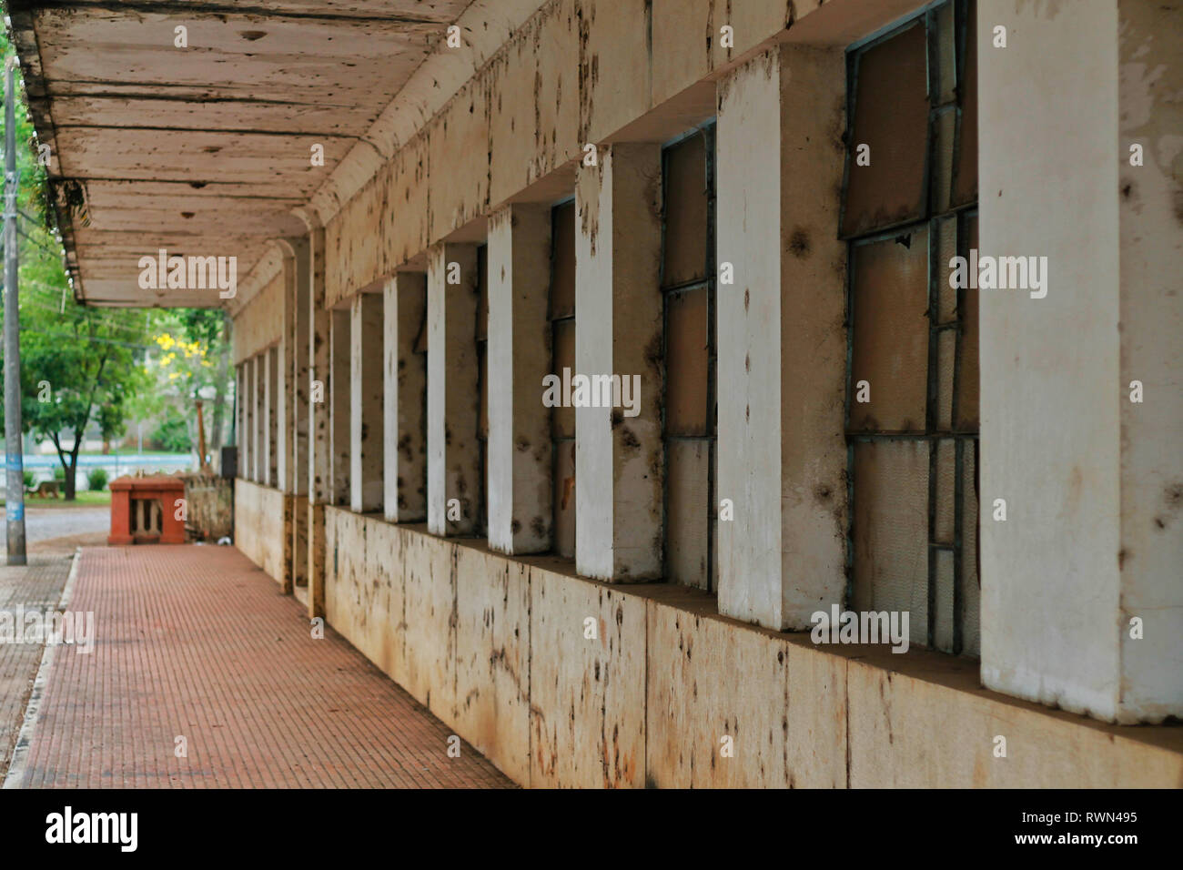 various food dishes, pizza, sphirra, snacks and various Stock Photo - Alamy