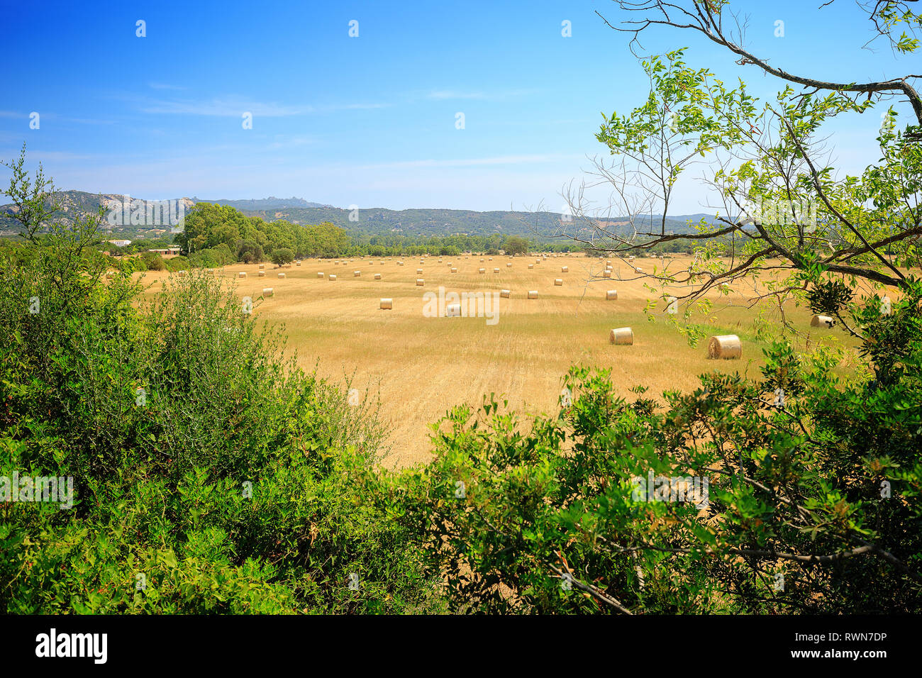 Nature countryside sea hi-res stock photography and images - Alamy
